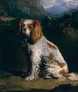 History of the Cavalier - How the Cavalier has come down to us from ...