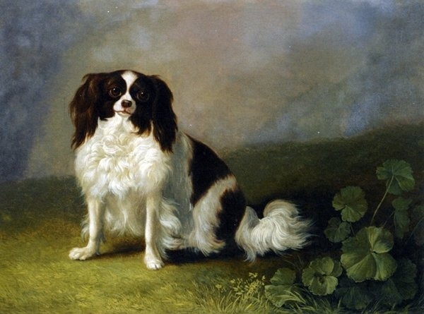 History of the Cavalier - How the Cavalier has come down to us from ...